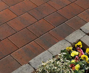 Product Gallery 1000X832 42D D MODENA 50 Traditional Brindle 1 ...